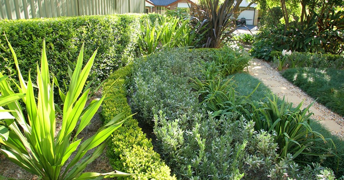 Soft Landscaping | Terra Creations